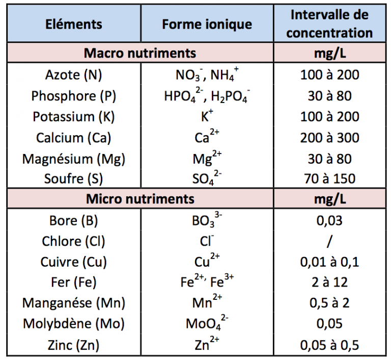 Fiche technique: poisson rouge - Aquaponie
