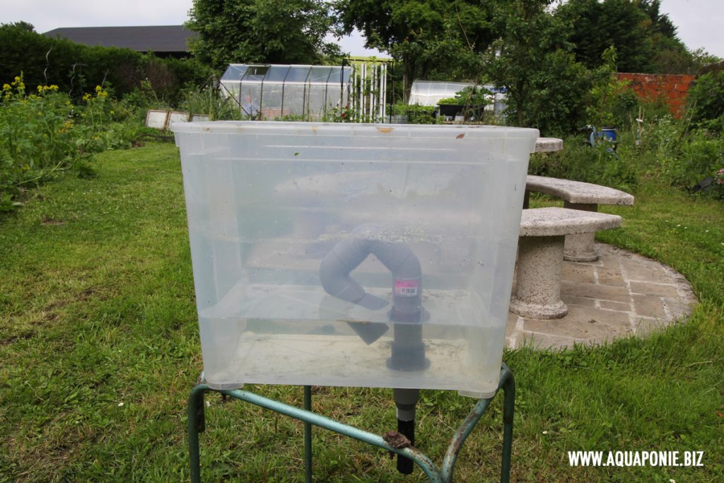 Comment fabriquer un siphon U? - Aquaponie Comment fabriquer un siphon U? - Aquaponie