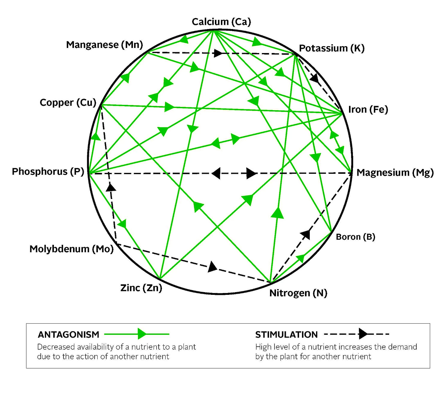 Charte de Mulder : interaction des nutriments - Aquaponie